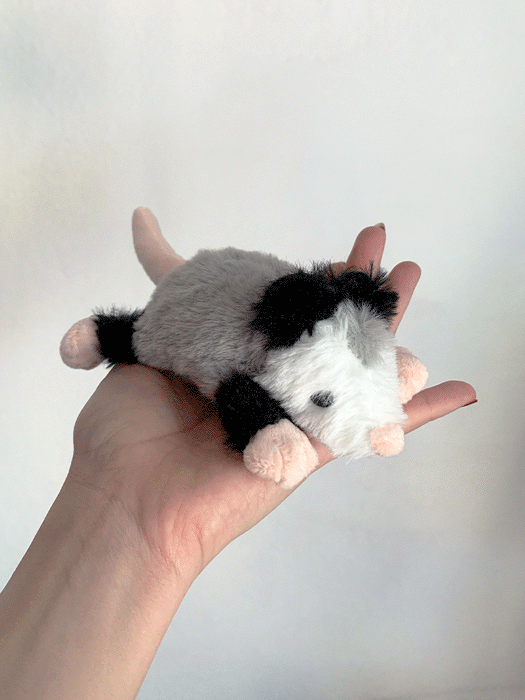 Peter The Possum – RW