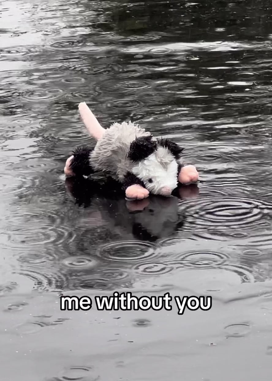 Peter The Possum – RW